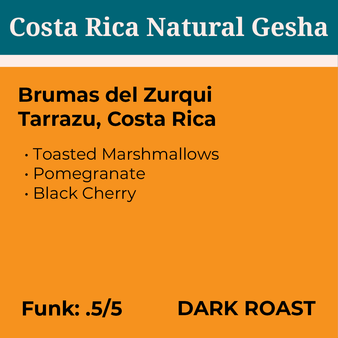 Brumas del Zurqui Costa Rica Natural Gesha Dark Roast – CETO